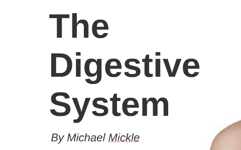 The Digestive System by Michael Mickle on Prezi
