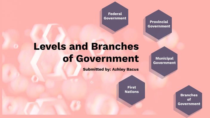 Part 1: Levels and Branches of Government by Azhley B on Prezi