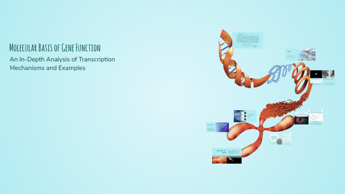 Molecular Basis of Gene Function by Michael Malli on Prezi