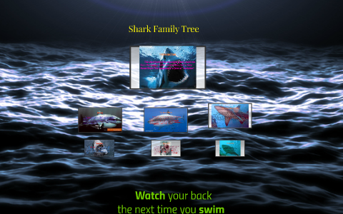 Shark Family Tree by Christiana Hunt on Prezi