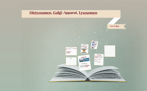 Dictyosomen, Golgi-Apparat, Lysosomen by Thomas Vetter on Prezi