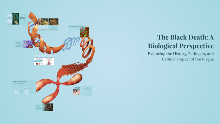 The Black Death: A Biological Perspective by Willow Lloyd on Prezi