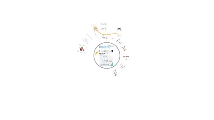 Acute Nerve Injury and Repair by gerhard pienaar on Prezi