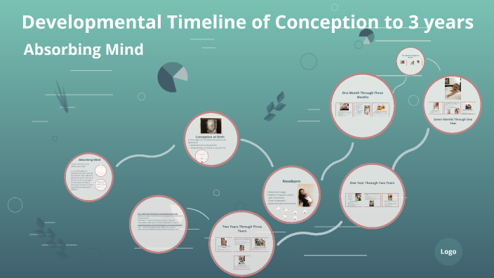 Developmental Timeline of Conception to 3 years by Sandra Aranguren on ...