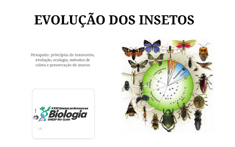 EVOLUÇÃO DOS INSETOS by Richard Moretto on Prezi