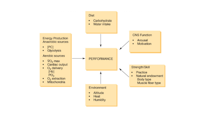 Performance-limiting factors by David Elmer on Prezi