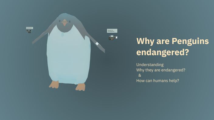 How to Save the Penguins by Victor Nguyen on Prezi