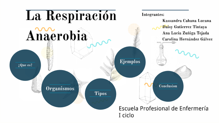 La Respiración Anaerobia by carolina alejandra galvez on Prezi