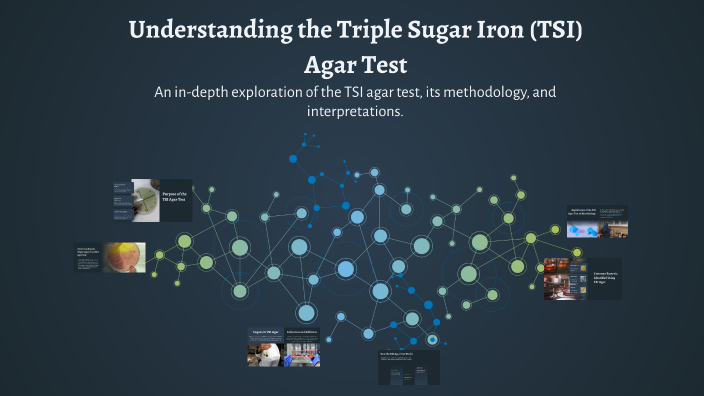 Understanding the Triple Sugar Iron (TSI) Agar Test by rayan tahir on Prezi