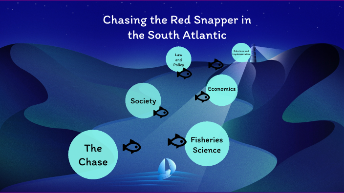 Biocultural Approach to Red Snapper Management in the South Atlantic by ...