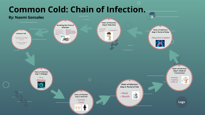 Common Cold: Chain of Infection. by naomi Gonzales on Prezi