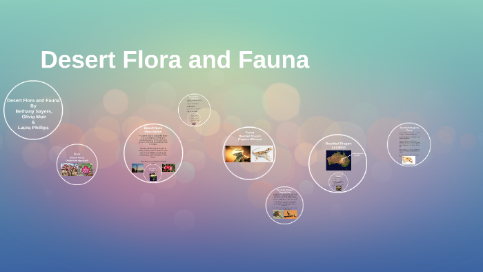 Desert Flora and Fauna by laura phillips on Prezi