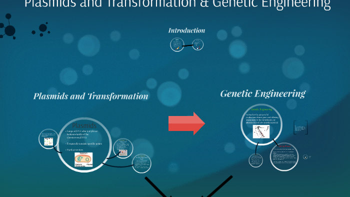 Plasmids and Transformation & Genetic Engineering by Kyle Stefanik on Prezi