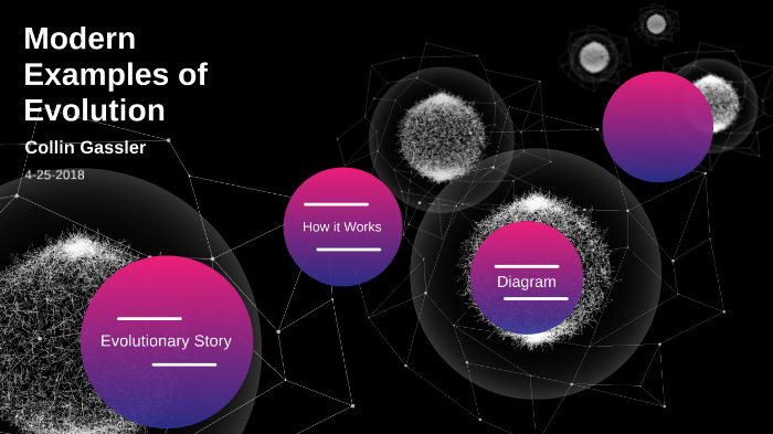 Modern Examples of Evolution by Collin Gassler on Prezi