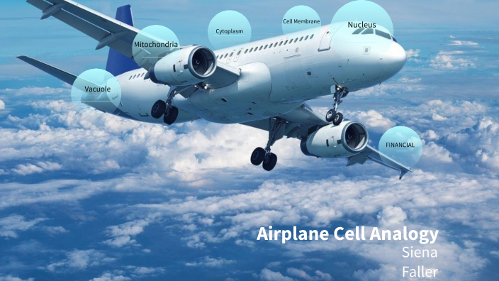 Airplane Cell Analogy by Siena Faller on Prezi