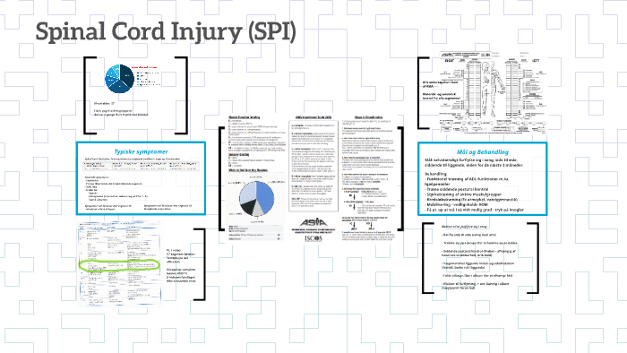 ASIA-classification by Anne Hauge Madsen on Prezi