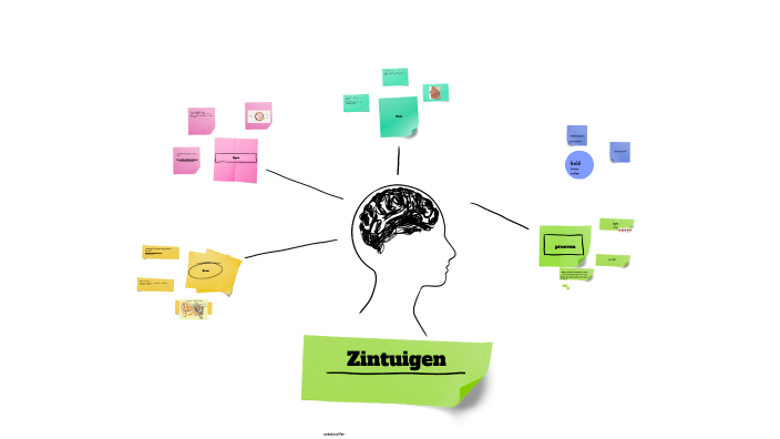 Zintuigen (horen, zien, ruiken) by MB KOO on Prezi