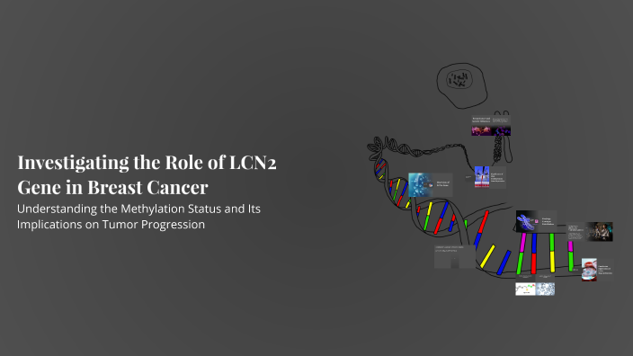Investigating the Role of LCN2 Gene in Breast Cancer by Md Roshan Ali ...