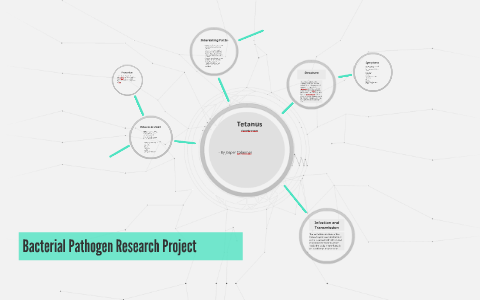Bacterial Pathogen Research Project by Jasper Taberner on Prezi