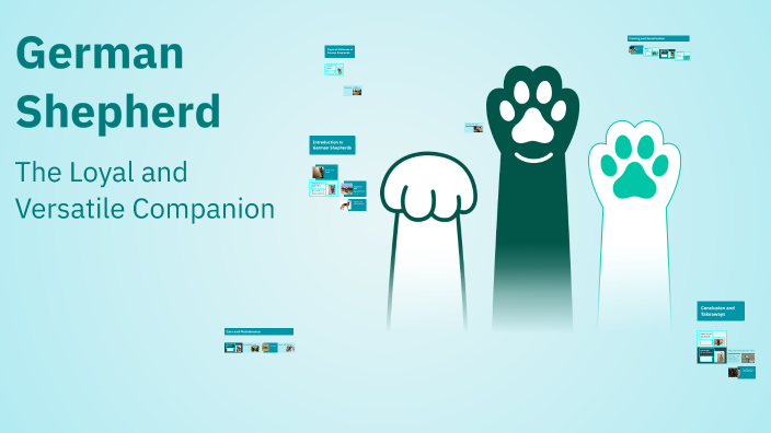 German Shepherd by Kylee Conner on Prezi