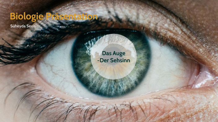 Das Auge - Der Sehsinn by Süheyda Sevis on Prezi