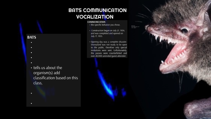 bats vocalization by paulina gerenshtein on Prezi