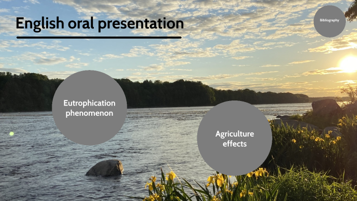 English oral presentation by Simon Bosc on Prezi