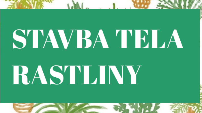 Stavba tela rastliny by Sona Machalova on Prezi