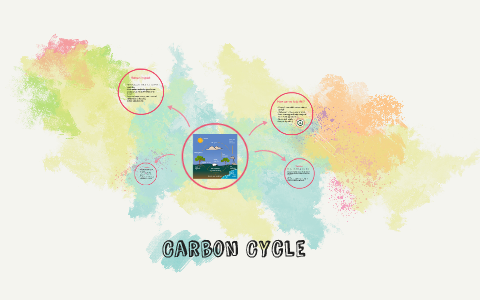 Carbon Cycle by Kristen Hoffner on Prezi