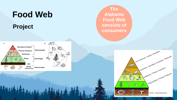 Alabama Food Web Project by CHRISTOPHER MCKELLER on Prezi