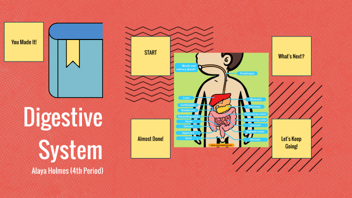Digestive System Story by alaya h on Prezi