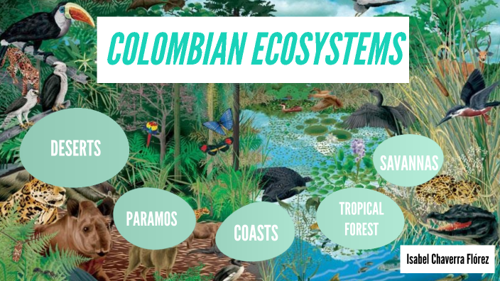 Colombian ecosystems by ISABEL CHAVERRA on Prezi