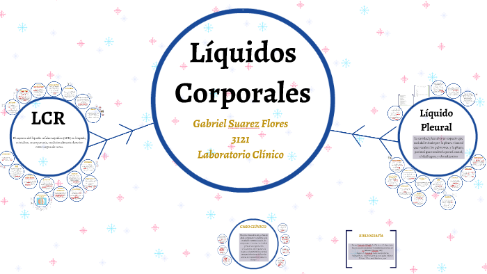 Líquidos Corporales by José L Barragán on Prezi