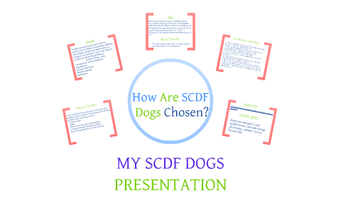 SCDF DOGS by Ashikin Zulkifli on Prezi