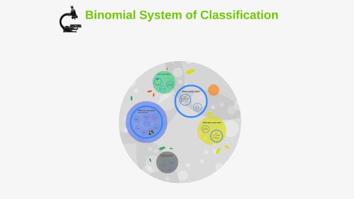 Binomial System of Classification by Nandini Mahanoor