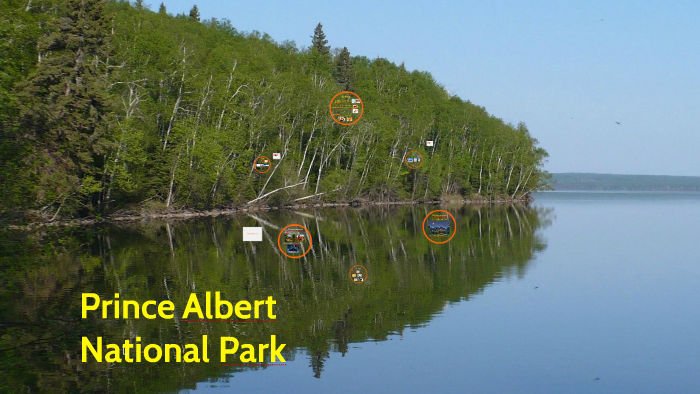 Prince Albert National Park by Derick Chen