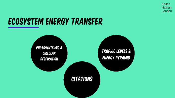 Ecosystem Energy Transfer project by Nathan Hall on Prezi