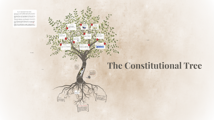 The Constitutional Tree by emilio portnoff on Prezi