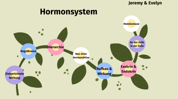 Hormonsystem by Jeremy Walker on Prezi