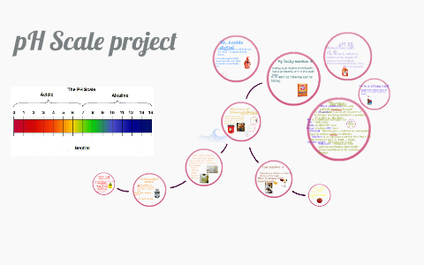 Ph Scale project by Natalie Duran on Prezi