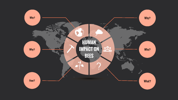 How Humans Have Impacted the Bee Population by Portia Langton on Prezi