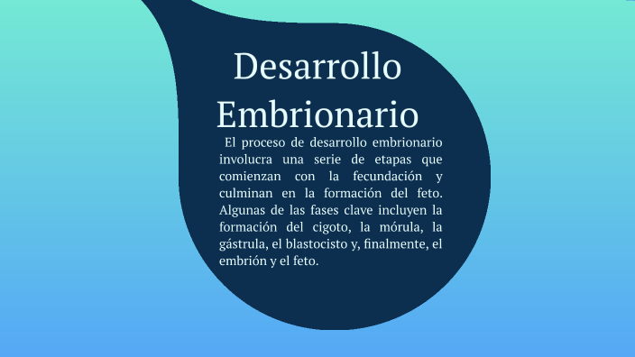 DESARROLLO EMBRIONARIO by Lesly Tapia on Prezi