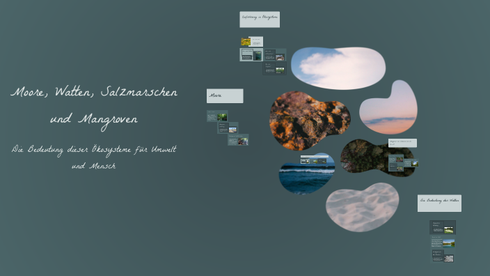 Moore, Watten, Salzmarschen und Mangroven by Laura Christina Eckart on ...