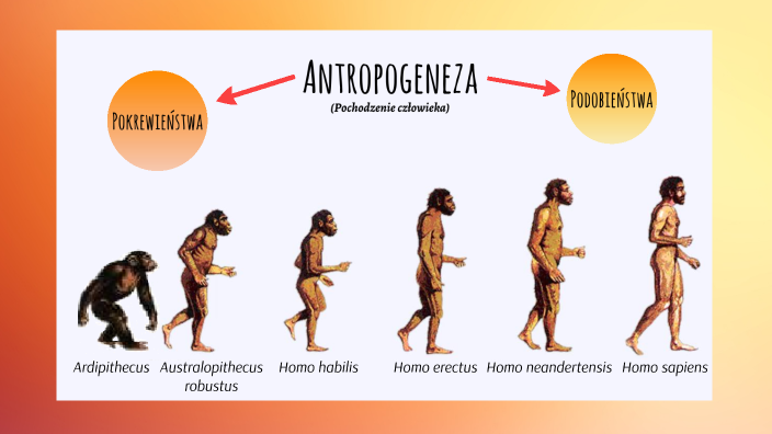 Antropogeneza by Jan Wierciło on Prezi