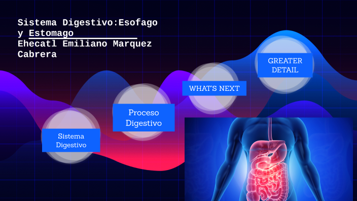 Sistema Digestivo: Esofago y Estomago by Emiliano Márquez Cabrera on Prezi