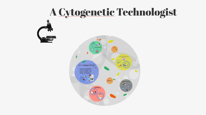 A Cytogenetic Technologist by Ylan Duong on Prezi