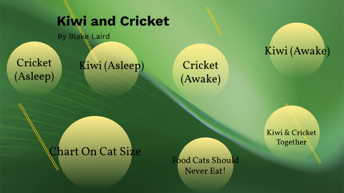 SPEECH 1315 Presentation 28 July 2023 by Blake Laird on Prezi