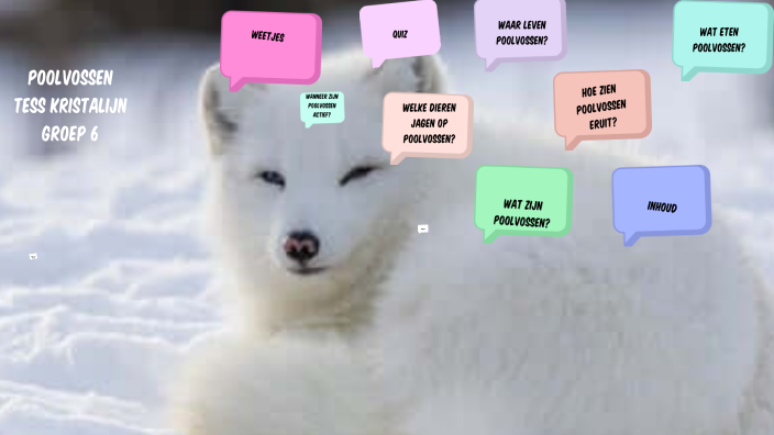 Poolvossen by Tess Kristalijn on Prezi