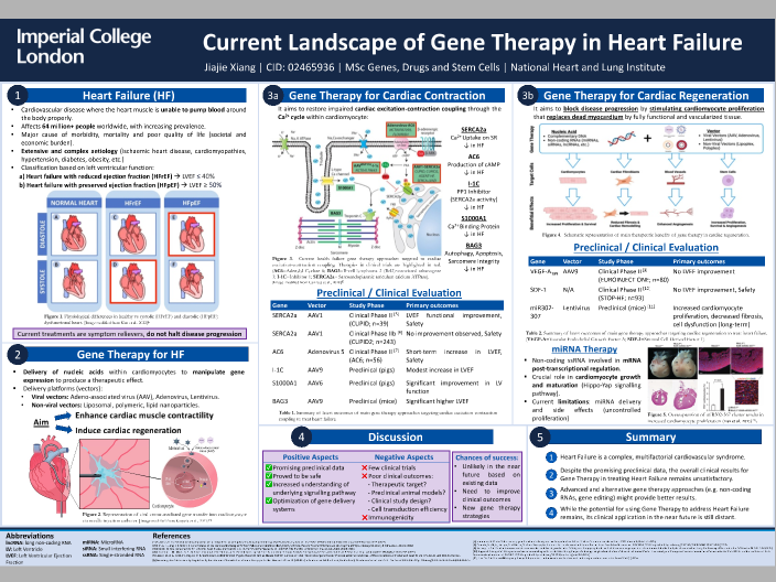 Poster GDS by Jiajie Xiang on Prezi