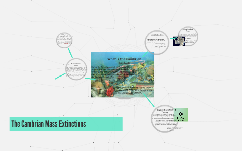 The Cambrian Mass Extinctions by Alexander Schiller on Prezi